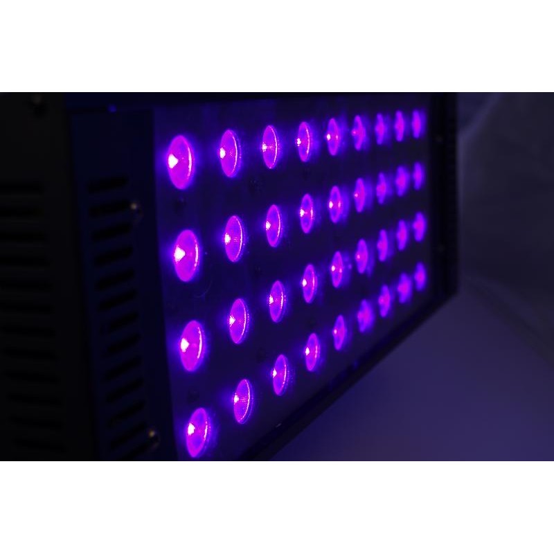 location pack éclairage pour soirée fluo et reveillon jour de l'an